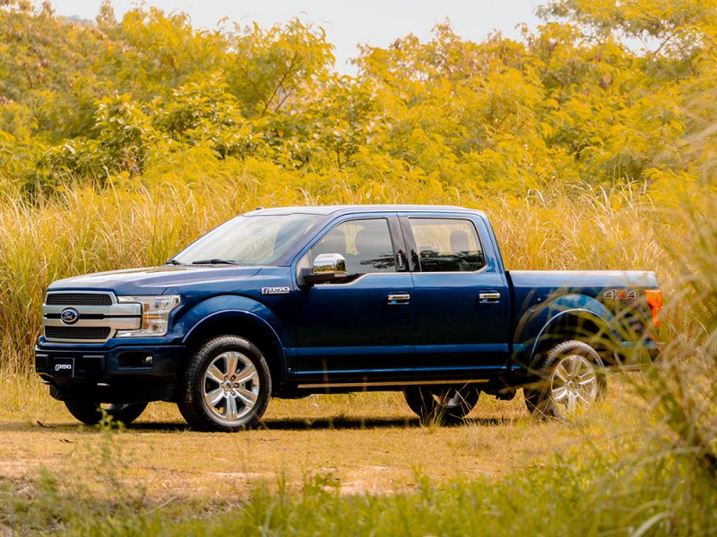 Photos: Ford F-150 4×4 Platinum doing mild off-roading | VISOR