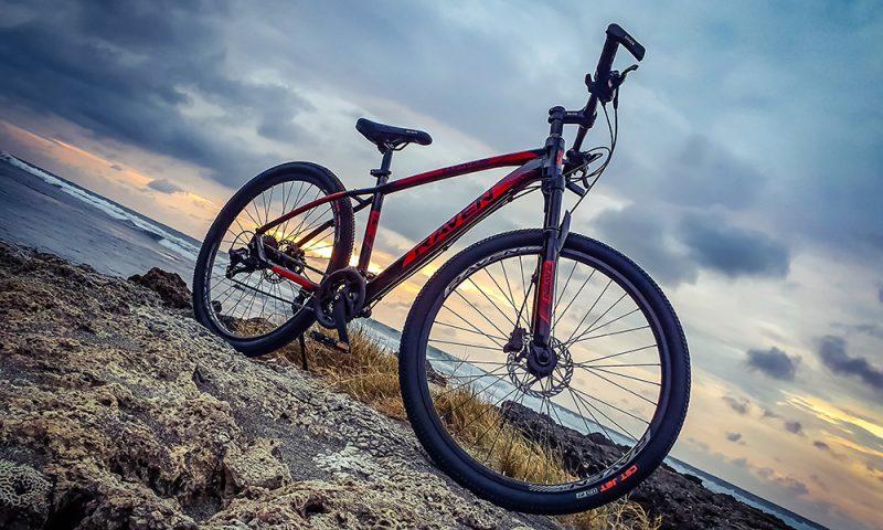 This young lady has a two-wheeled solution to our mobility woes | VISOR