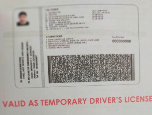 Starting today, all expiring driving licenses are extended until ...
