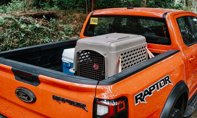 Ford Ranger Raptor 4×4 AT (T6.2): Make way for the alpha | VISOR