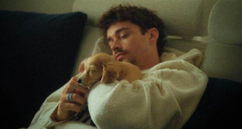 Take a look at Charles Leclerc’s pretty pooch | VISOR