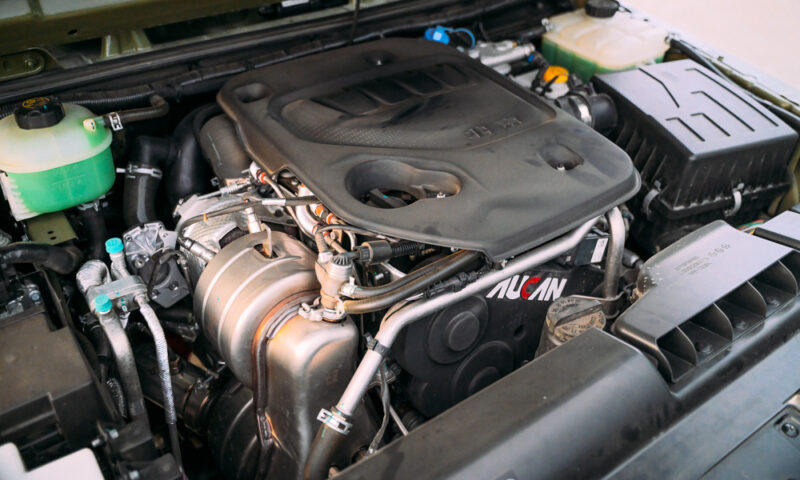 BAIC B40 Ragnar: Off-road attitude | VISOR