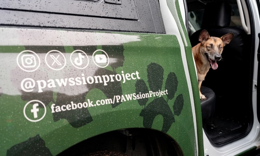 Mazda PH gives support to PAWSsion Project | VISOR